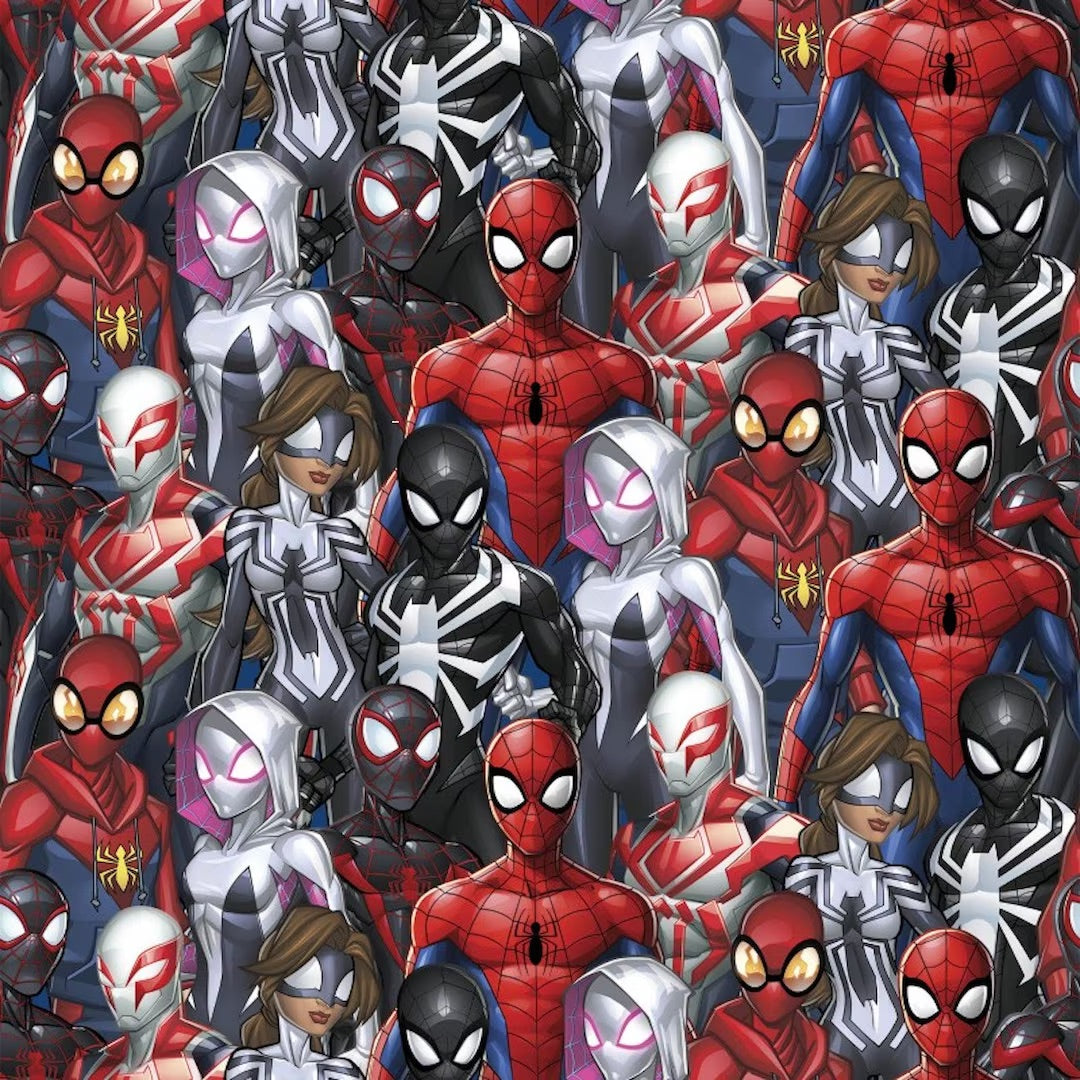 Explore the Spider-Verse – Mister Comic